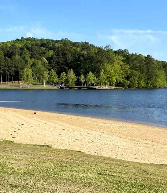 alabama hidden beach gulf ftr