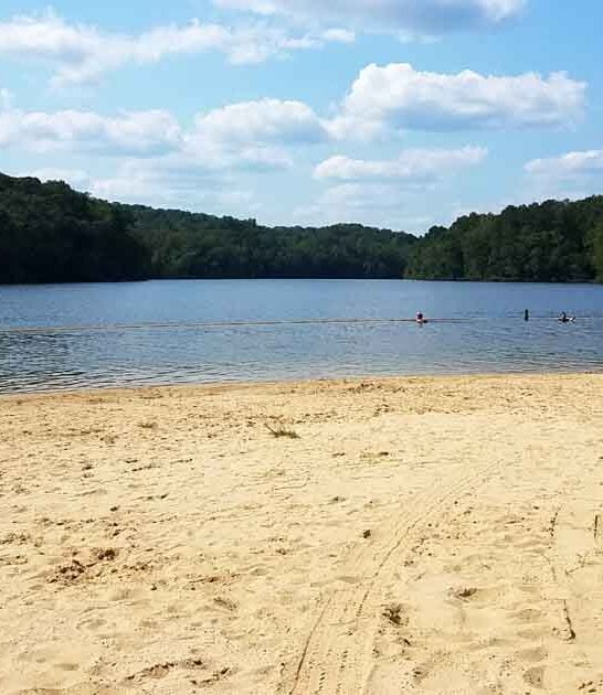 alabama lake beach stunning ftr
