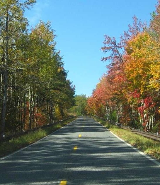 Fuel Up And Hit These 8 Country Roads In Alabama For The Drive Of A Lifetime