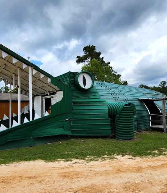 alligator park texas ages ftr