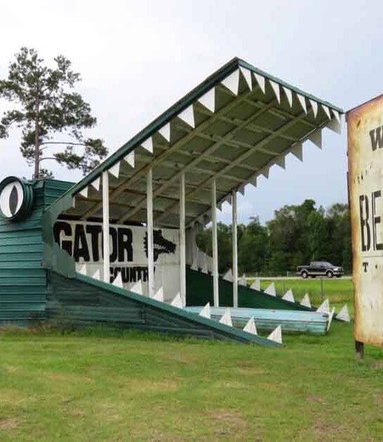 alligator park texas family ftr