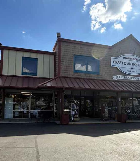 amazing antique store michigan ftr