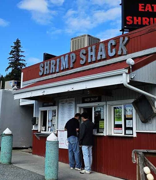 amazing dungeness crab washington ftr