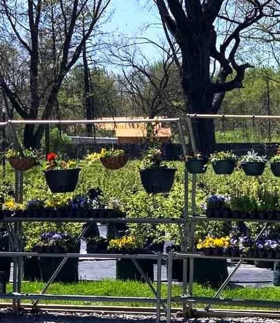 amazing indiana berry farm ftr