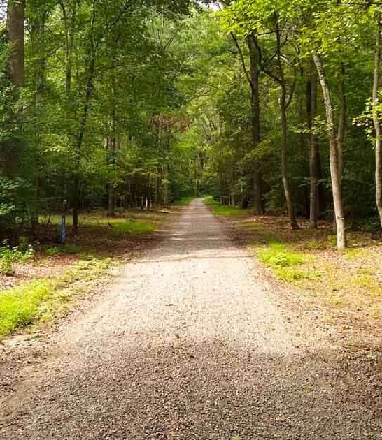 amazing state park virginia ftr