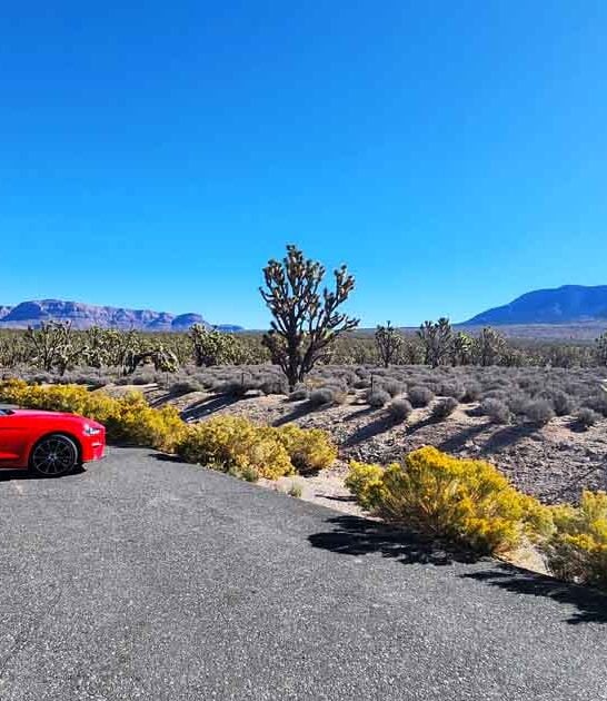 arizona hidden tree preserve ftr