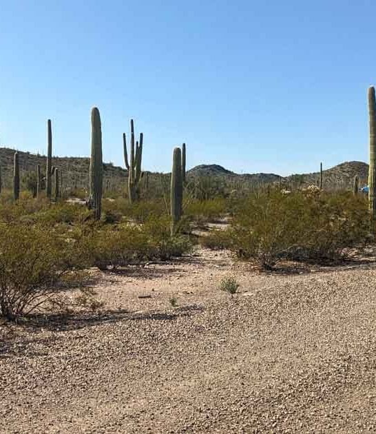 arizona national park attention ftr