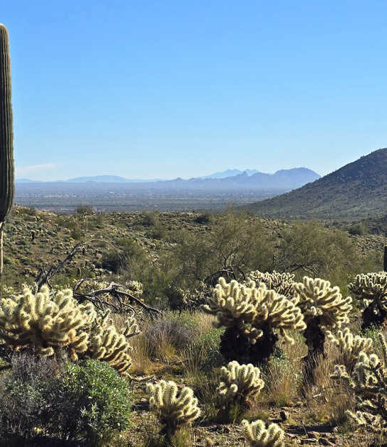 arizona scenic postcard park ftr