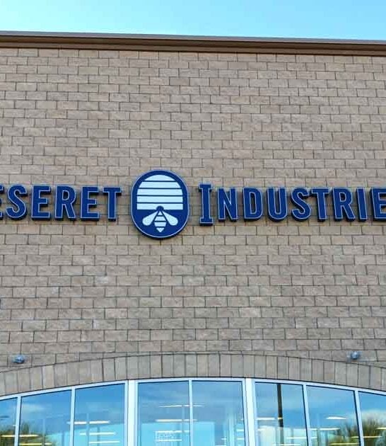 arizona thrift store paradise ftr