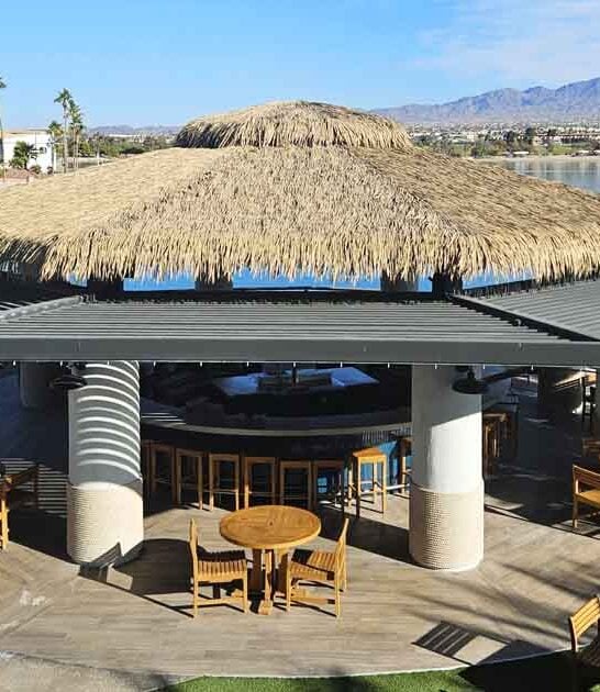 arizona tropical bar escape ftr