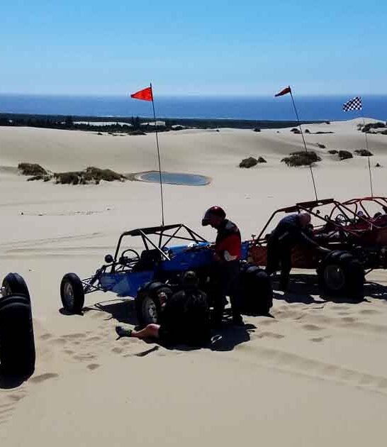 atv sand dunes oregon ftr