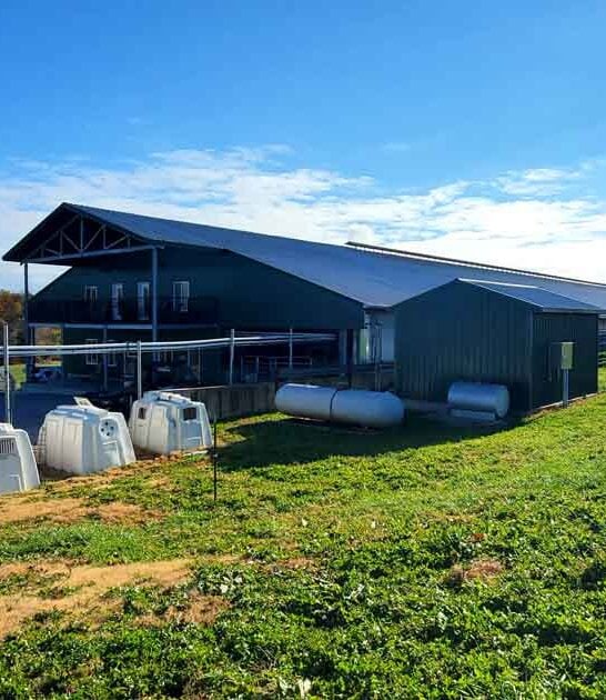 authentic kentucky cheese farm ftr