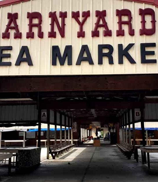 bargain south carolina market ftr