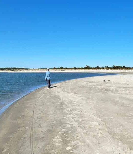 beach escape south carolina ftr