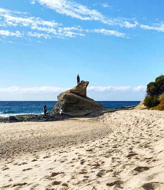 beachfront park california coastline ftr