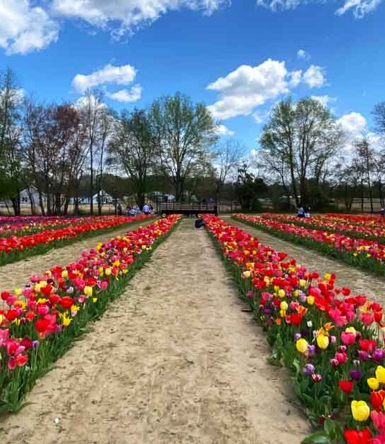 beautiful farm new jersey ftr
