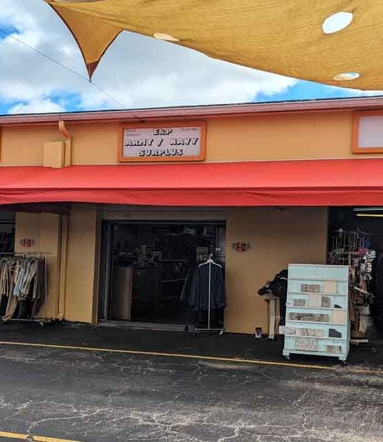 believe gigantic florida flea ftr