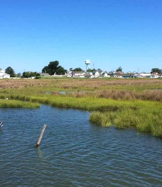 believe island virginia coast ftr
