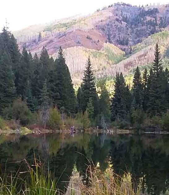 best kept lake colorado ftr