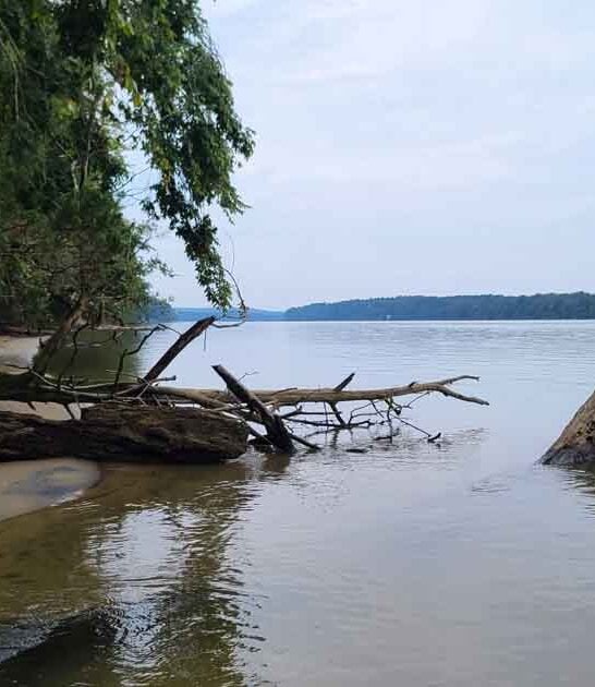 best secret alabama riverfront ftr