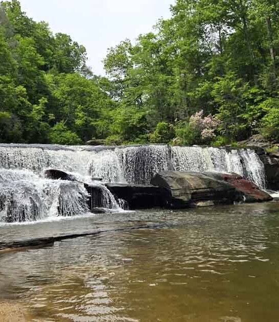 best trips south carolina ftr
