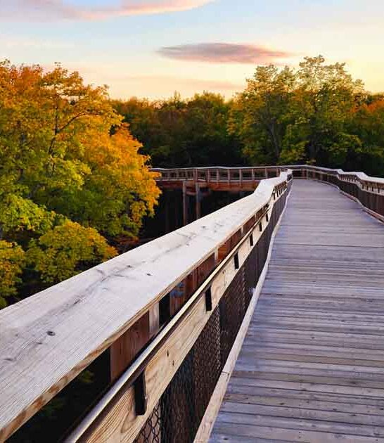 birdwatching park wisconsin ftr