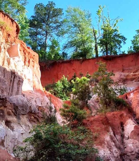 bizarre geological wonder georgia ftr