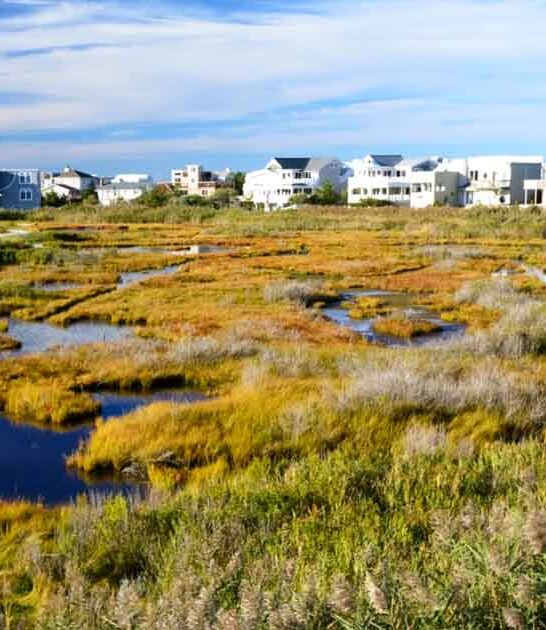 blissful new jersey towns ftr