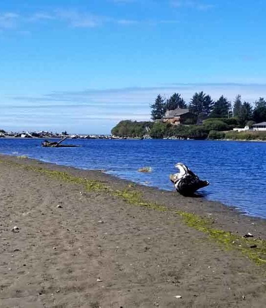blissfully quiet oregon park ftr