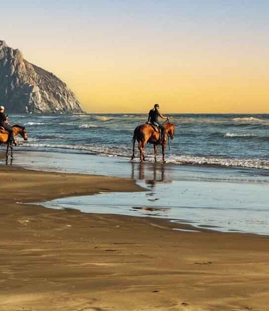 breathtaking california beach escape ftr