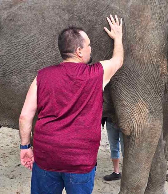 breathtaking elephant sanctuary florida ftr