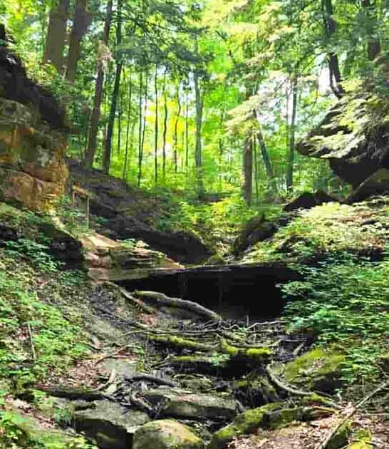 breathtaking indiana canyon bucket ftr