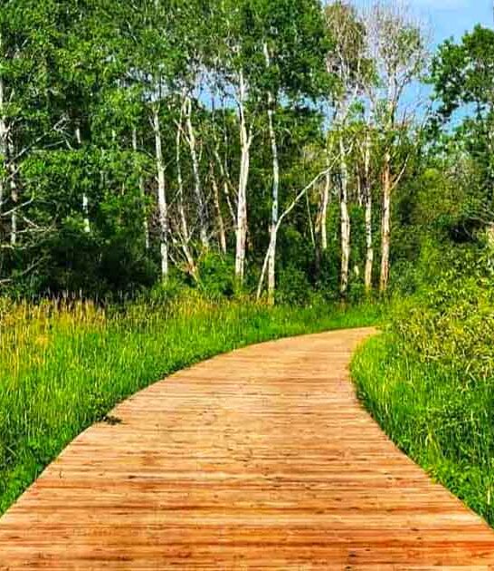 breathtaking minnesota park trip ftr