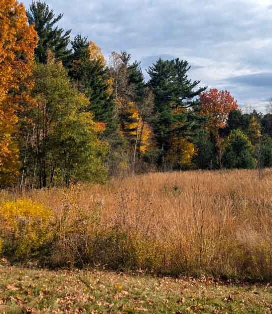 breathtaking nature preserve pennsylvania ftr