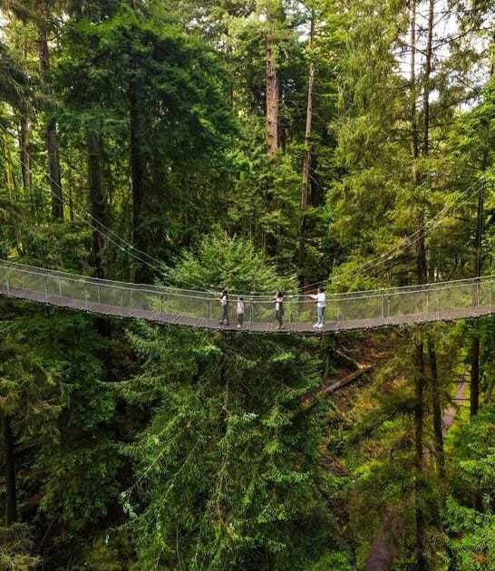 breathtaking sky walk california ftr