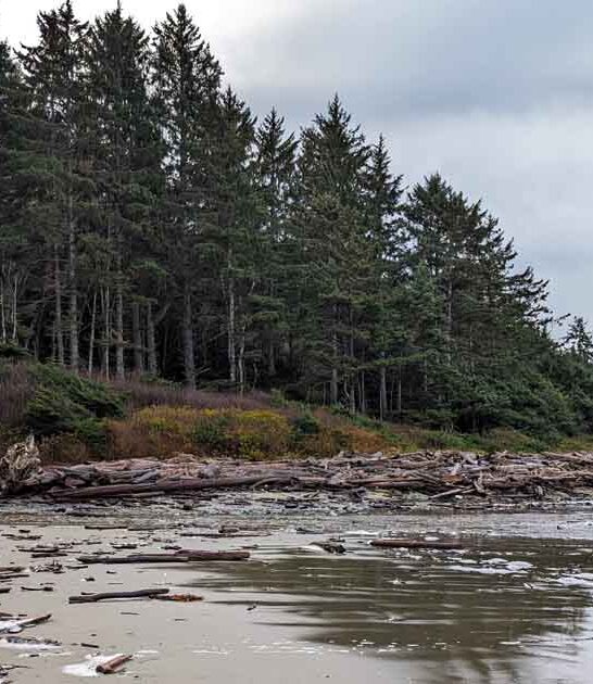 breathtaking washington beach ftr
