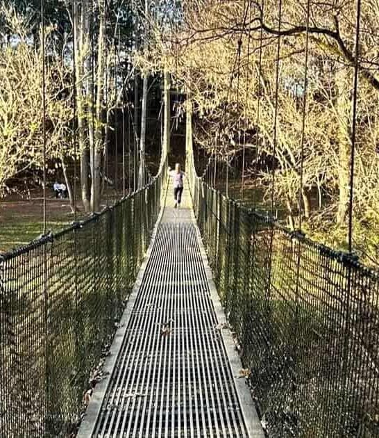 bridge walk south carolina ftr