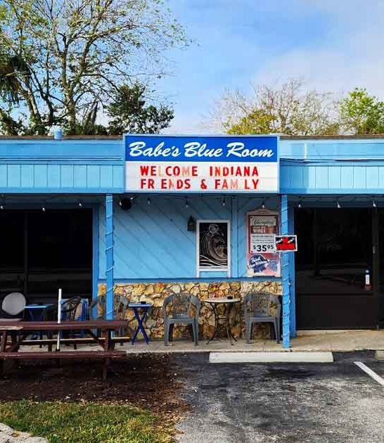 buffalo wings florida bar ftr
