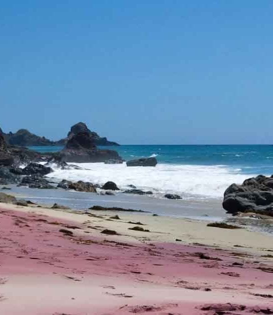 california beach purple sand ftr