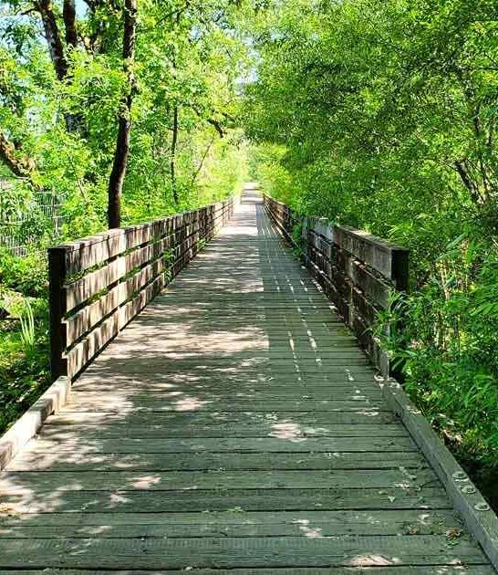 california groves bike trail ftr