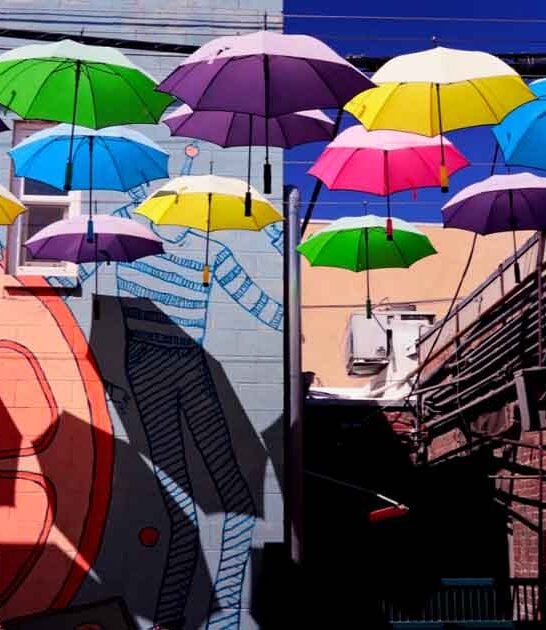 california magical umbrella alley ftr
