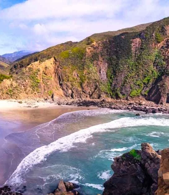california purple sand beach ftr