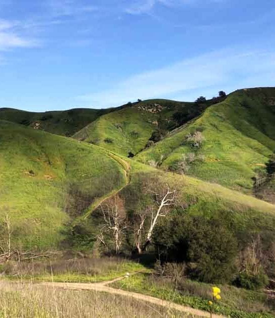 california road trip destinations ftr