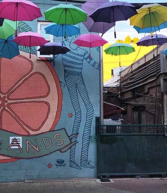 california umbrella alley walk ftr
