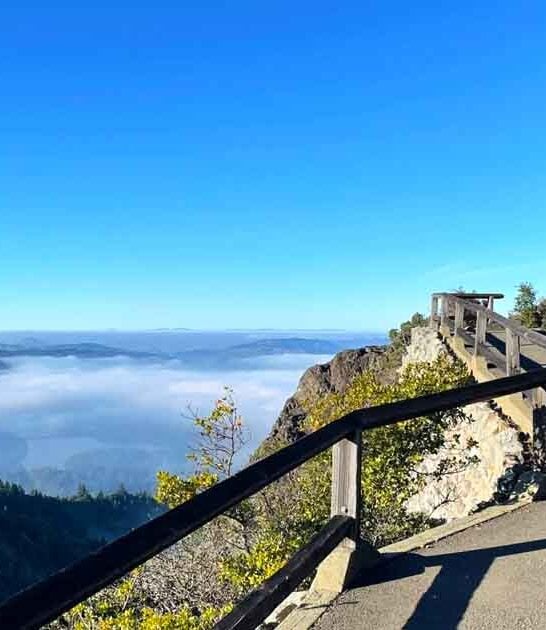 california underrated trail views ftr