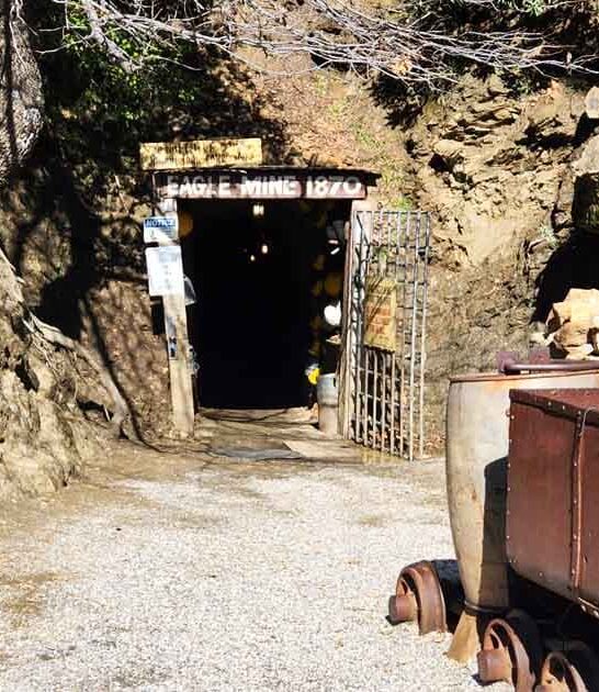 california unique gold mine ftr