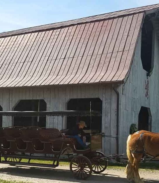 carriage magical north carolina ftr
