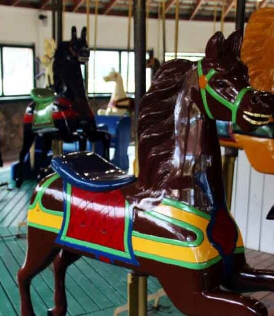 classic texas wooden carousel ftr
