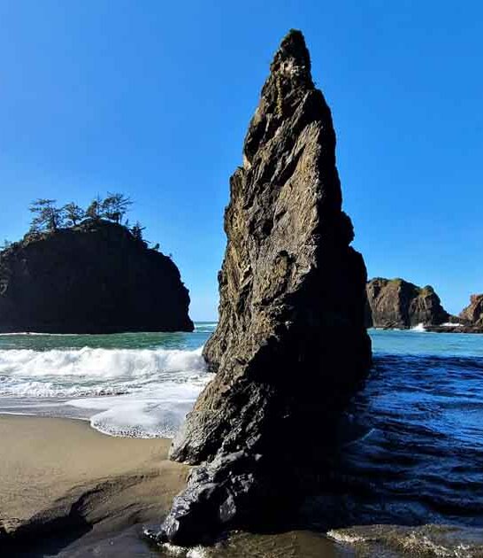 coastal beach escape oregon ftr