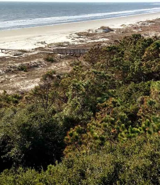 coastal trip south carolina ftr